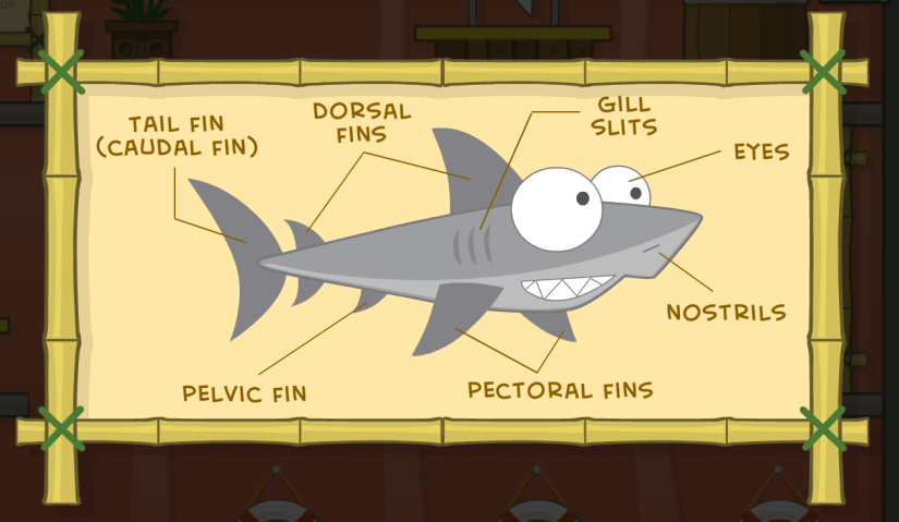 Shark Tooth Island Guide – 🏝 Poptropica Help Blog 🗺