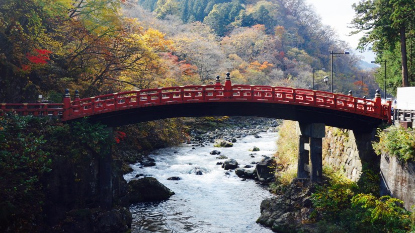 Pop Places IRL: Red Dragon – 🏝 Poptropica Help Blog 🗺