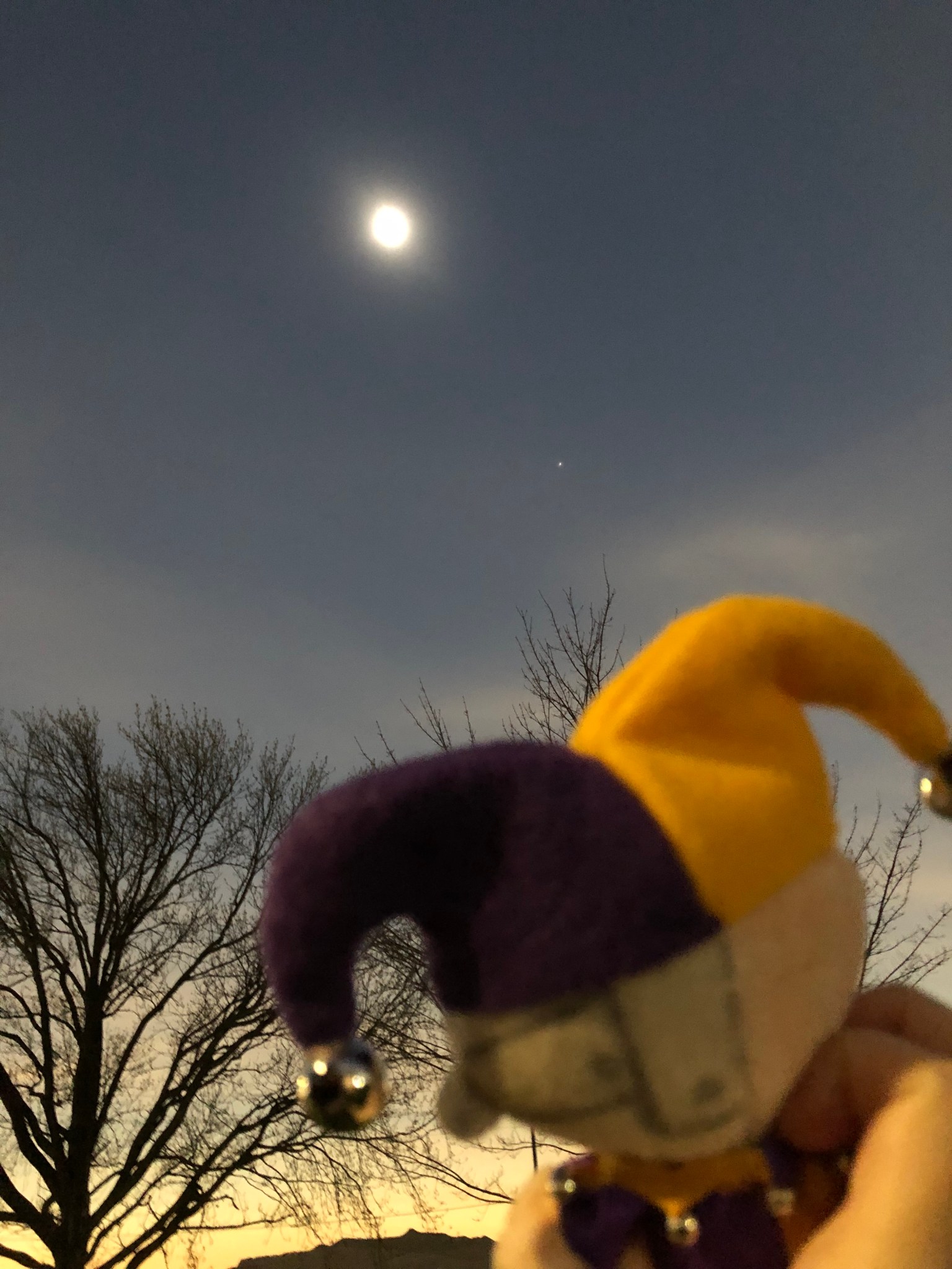 Binary Bard – 🏝 Poptropica Help Blog 🗺